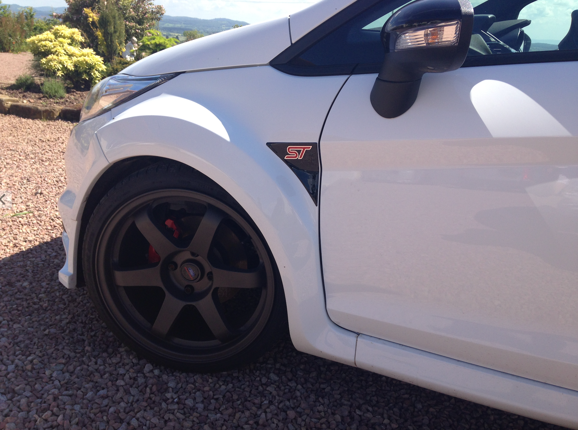 Fiesta Mk7.5 ST Wing GEL Badges - PAIR – Garys Garage
