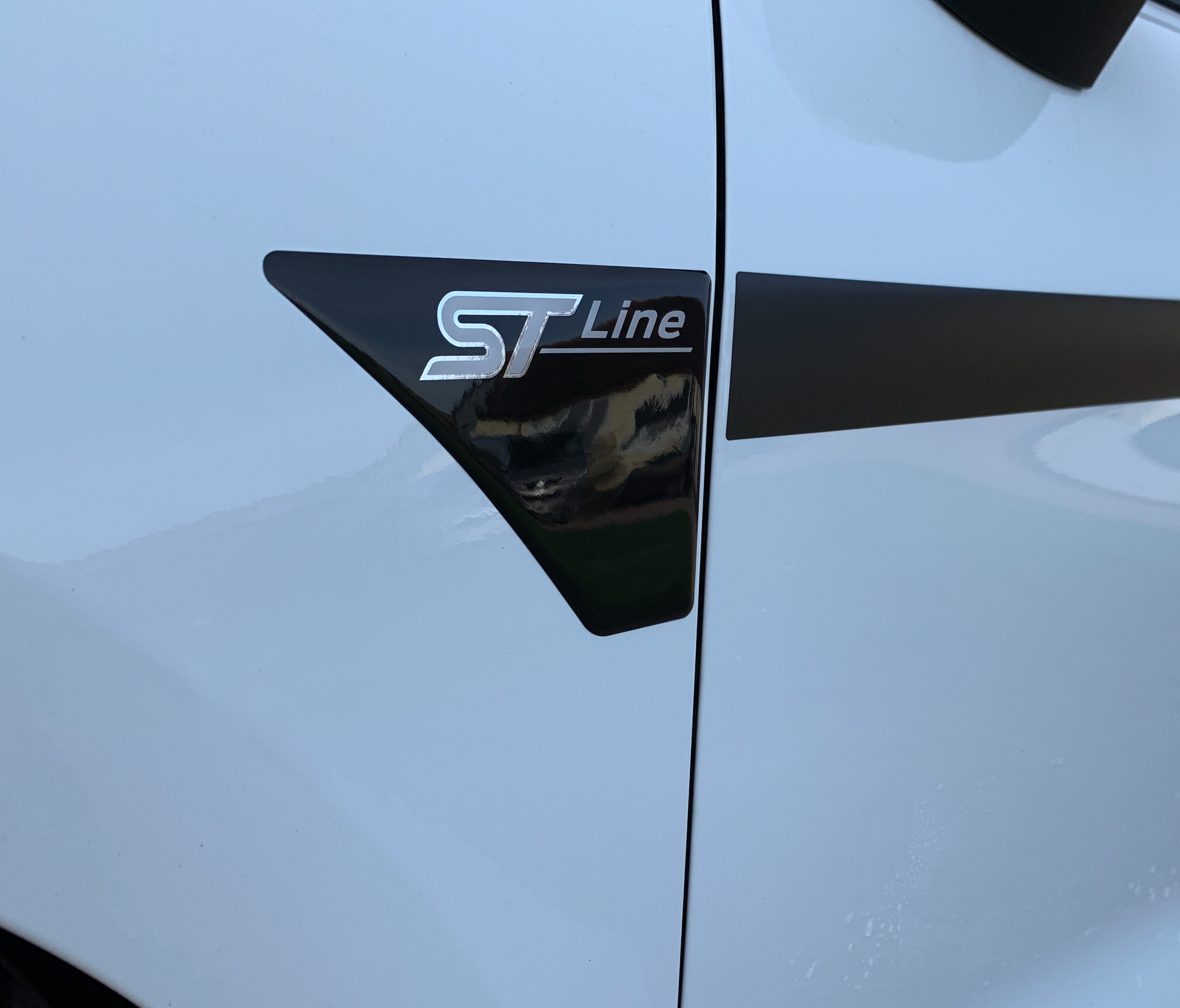 Fiesta Mk8 Mk8.5 ST Line Wing GEL Badges - PAIR – Garys Garage