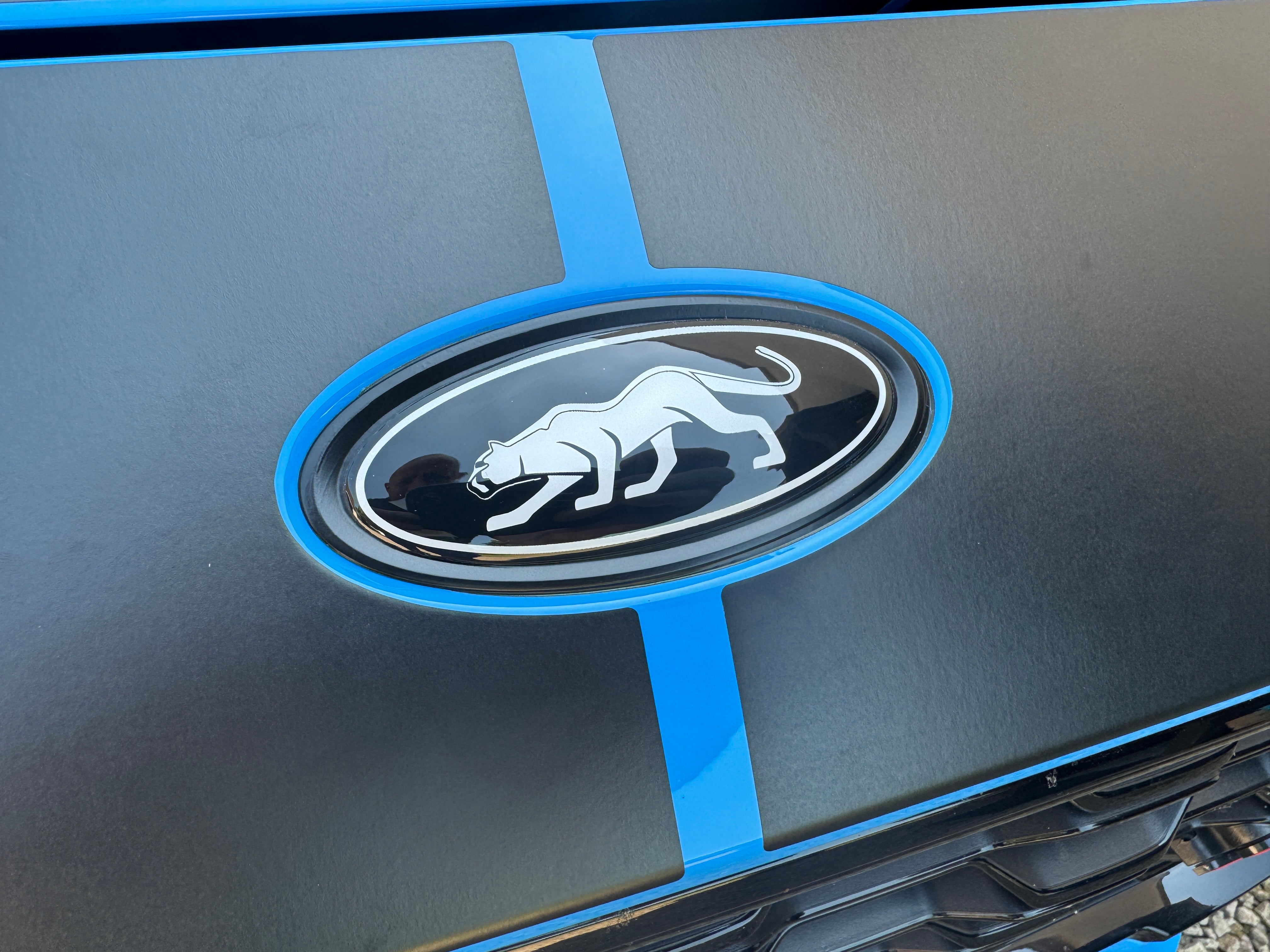 Puma 2020- Gel Badge Overlays - Puma Cat Logo - Solid – Garys Garage